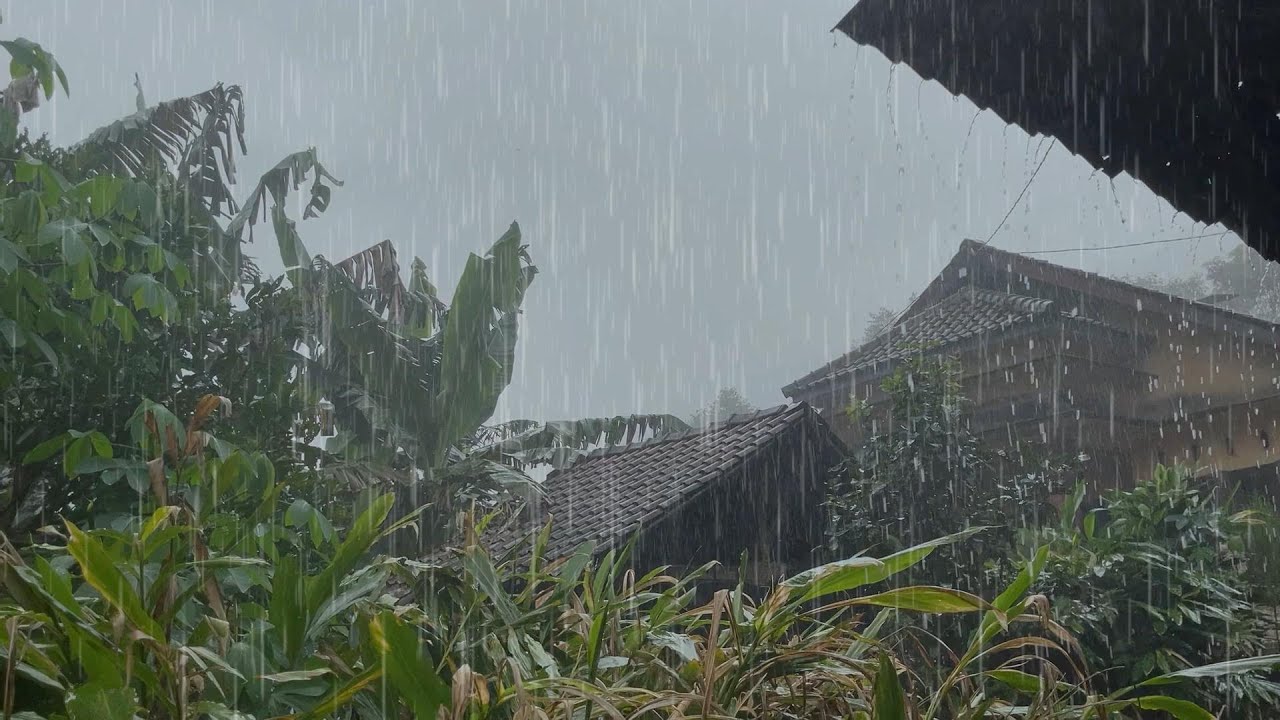Heavy Rain in Front Garden of the House, Peaceful & Cool, It Feels Like ...