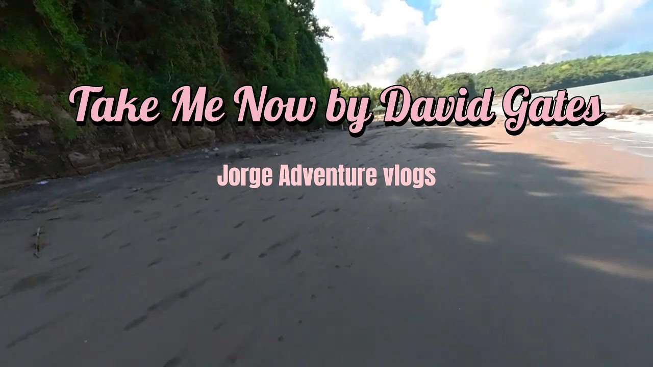 Take Me Now by David Gates (Lyrics Video) - YouTube Music