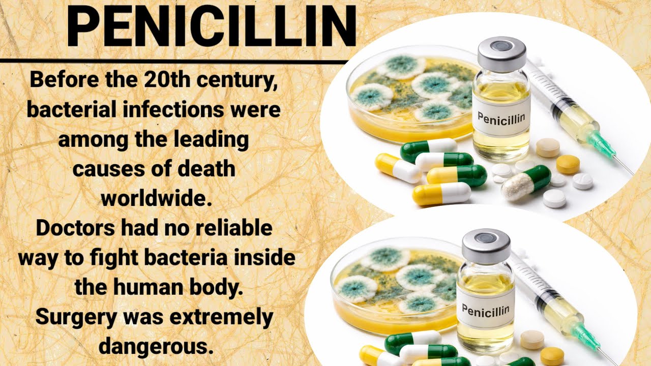 Learn English Through Story | The History of Penicillin (Easy English ...