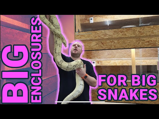 Red Tail Boa Cages For Snake