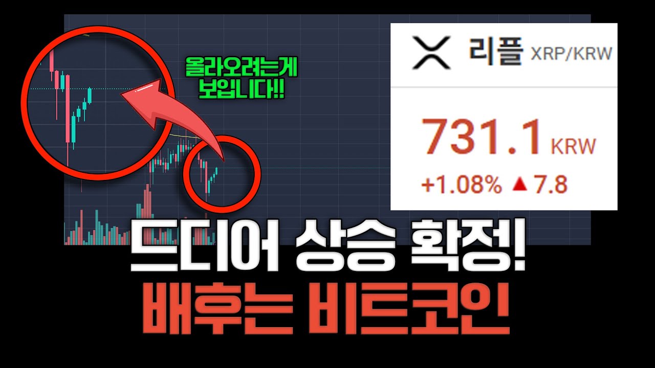 리플 Xrp 드디어 상승 확정 배후는 비트코인 리플 리플분석 리플etf 리플단타 코인시황 코인분석 Youtube