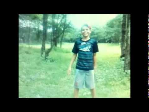 panico na floresta