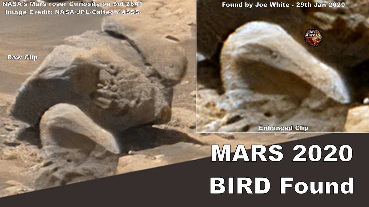 MARS - BIRD Found - Thoth - ArtAlienTV - YouTube
