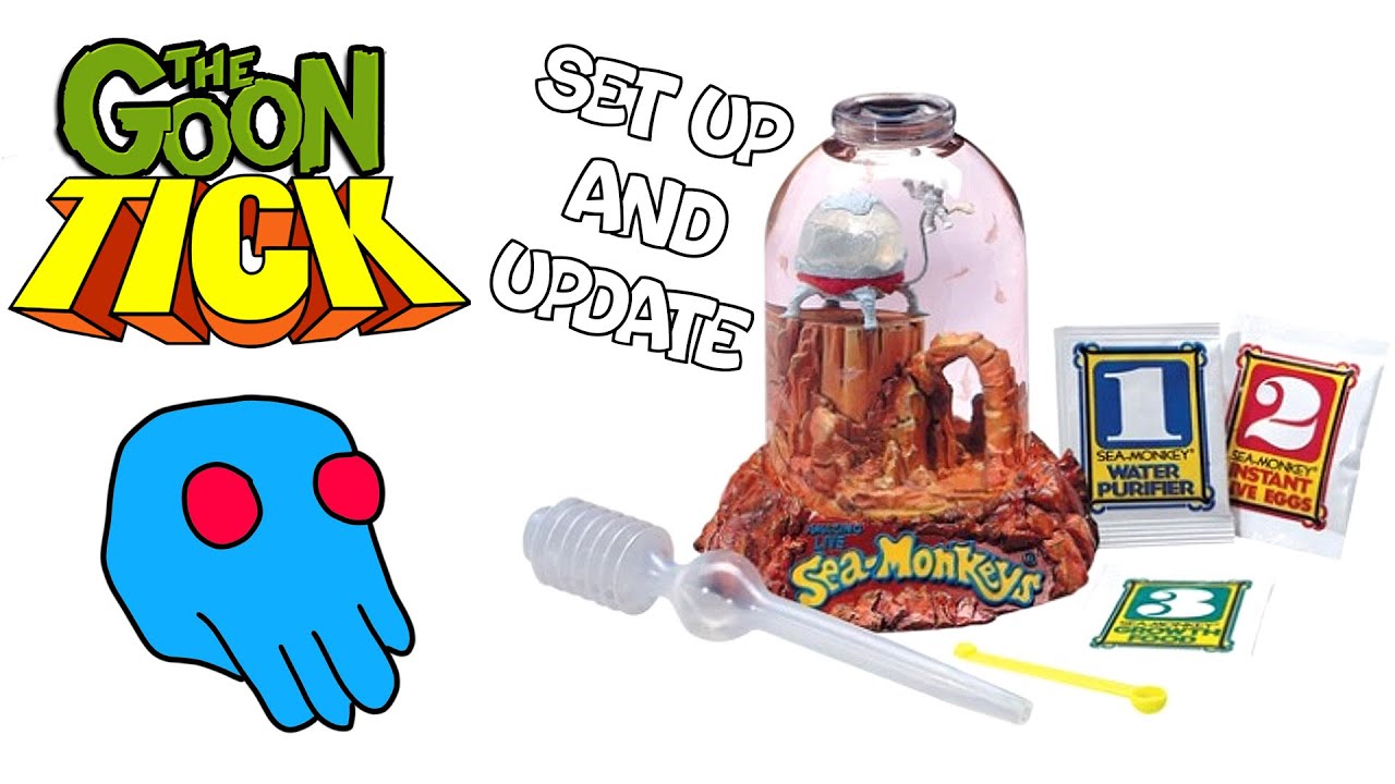 How to Set Up Your Sea Monkeys on Mars Set With GoonTick! - YouTube
