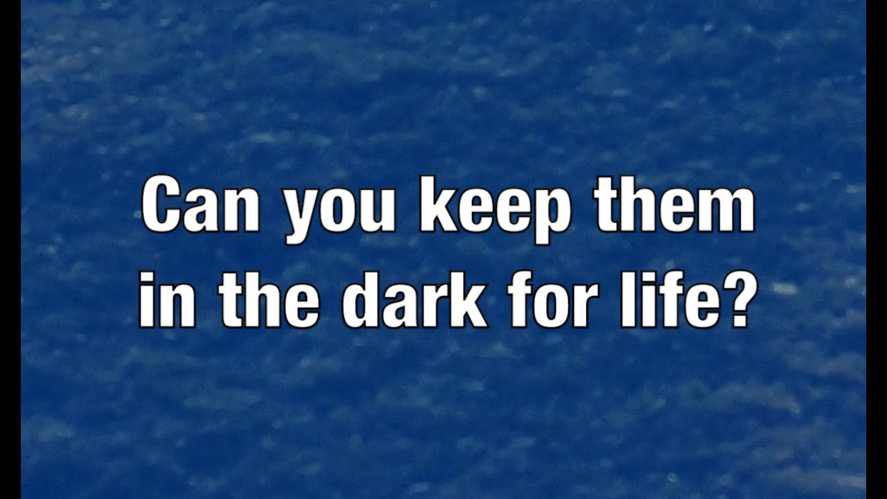 Danzig - Mother (with Lyrics) - YouTube