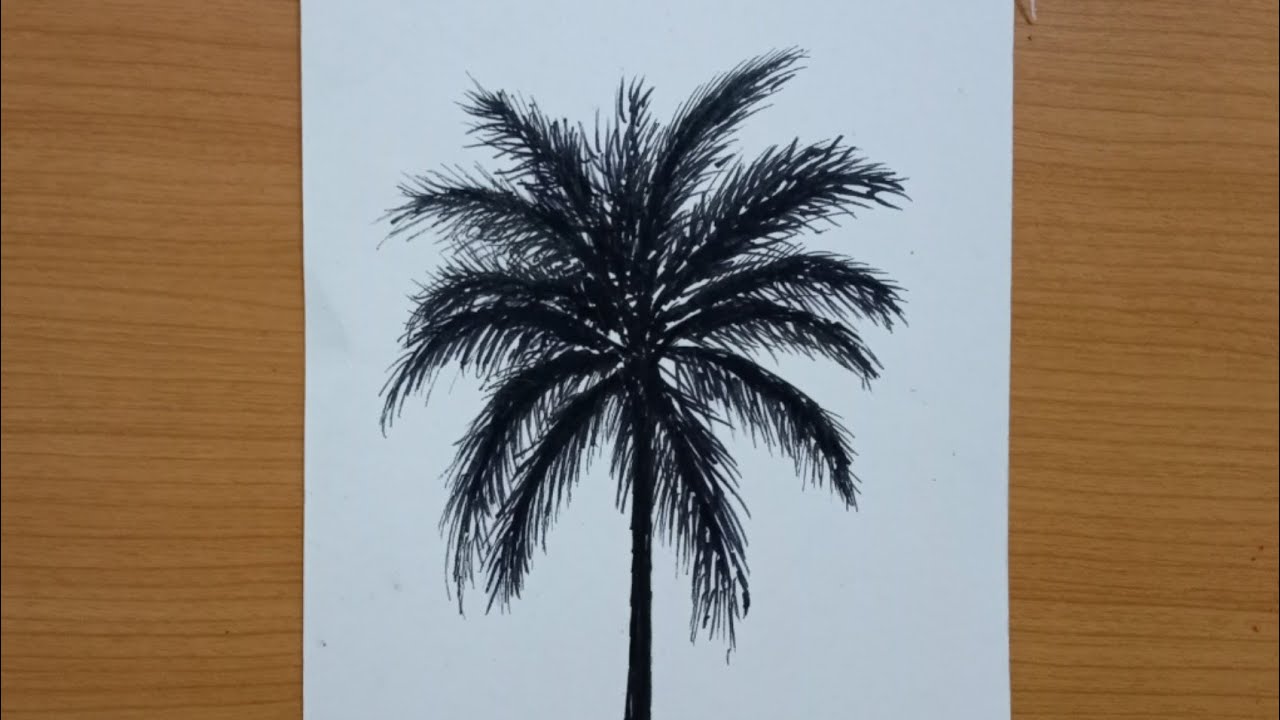 How to draw Coconut a tree -အုန်းပင်ဆွဲနည်း။ - YouTube