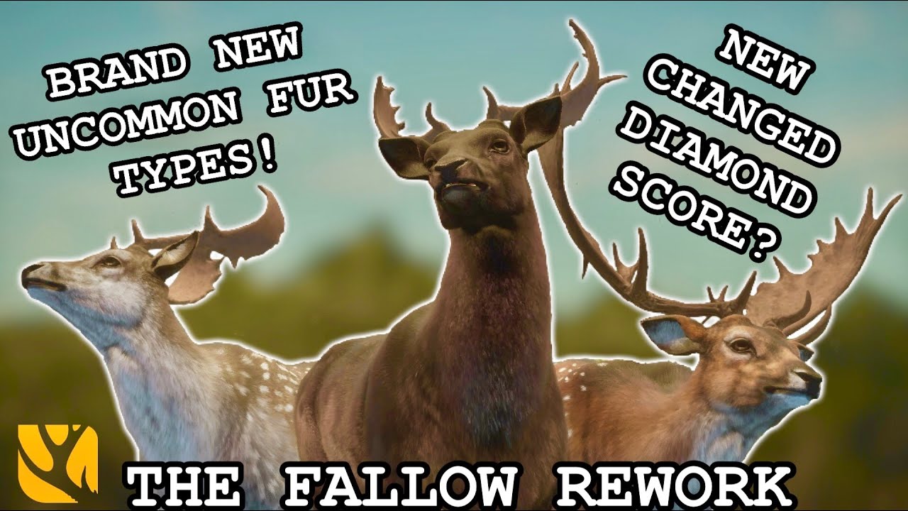 LOOKING AT THE INCREDIBLE FALLOW DEER REWORK COMING WITH THE NEXT ...
