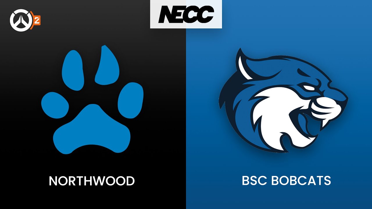 OW2 | Northwood vs BSC Bobcats | Week 3 - YouTube