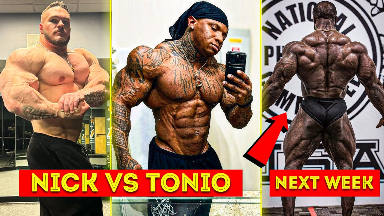(हिन्दी) NICK & TONIO HEATING THINGS UP | SAMSON COMING TO ARNOLD ...