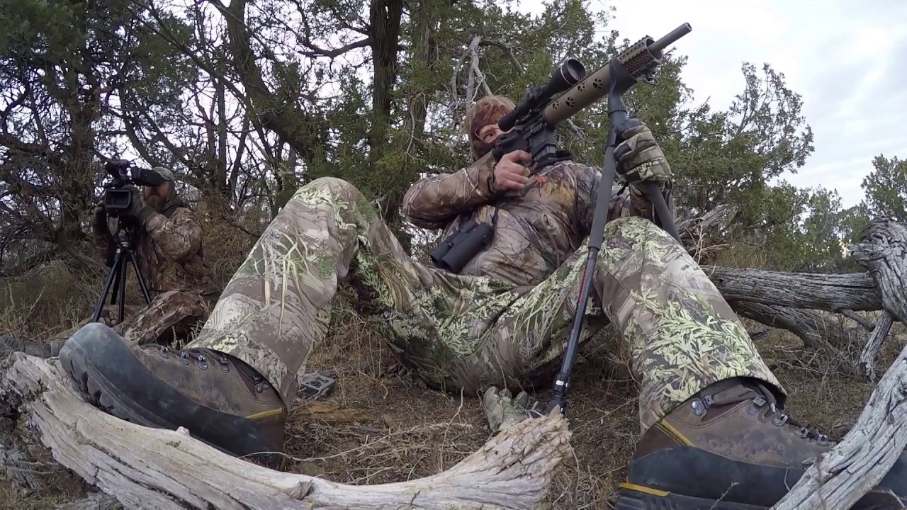 Coyote shot 10ft from call - How to get coyotes close - YouTube