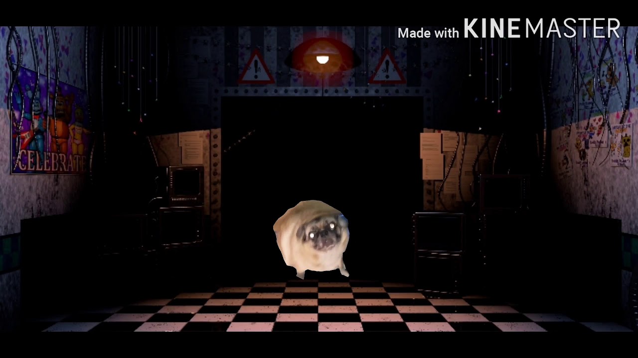 Pug Dancing To FNAF Music Box - YouTube