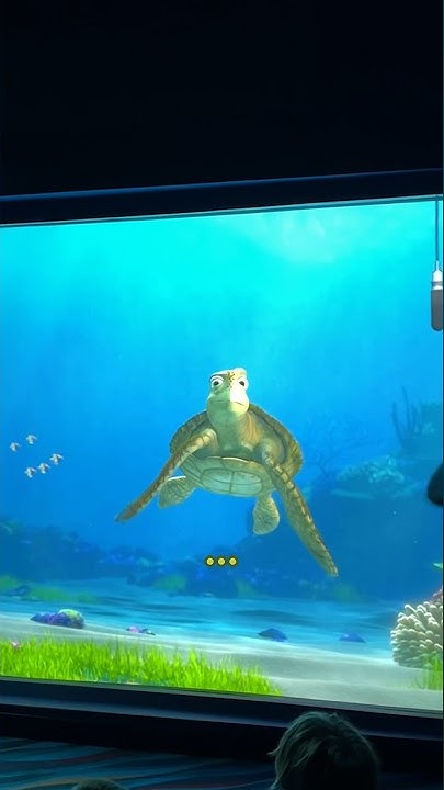 My GF Goes to Disney’s Turtle Talk with Crush..🐢🤣 #couples #girlfriend ...