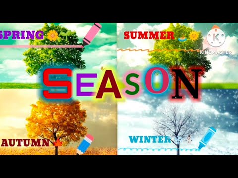 "4 Seasons for Kids 🌞 ️🌧️🍂 | Learn About Weather and Nature ...