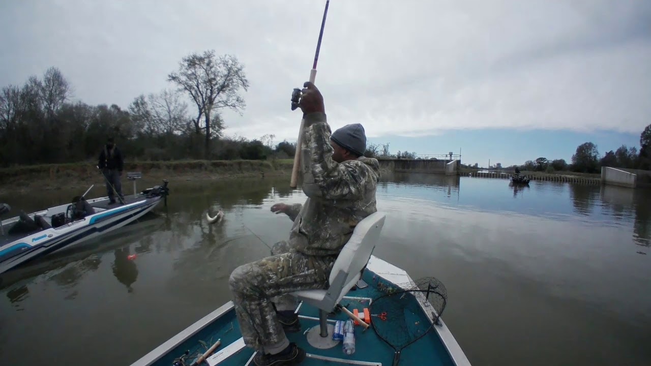 Must Watch!!! None Stop Crappie Catching with a double limit! - YouTube