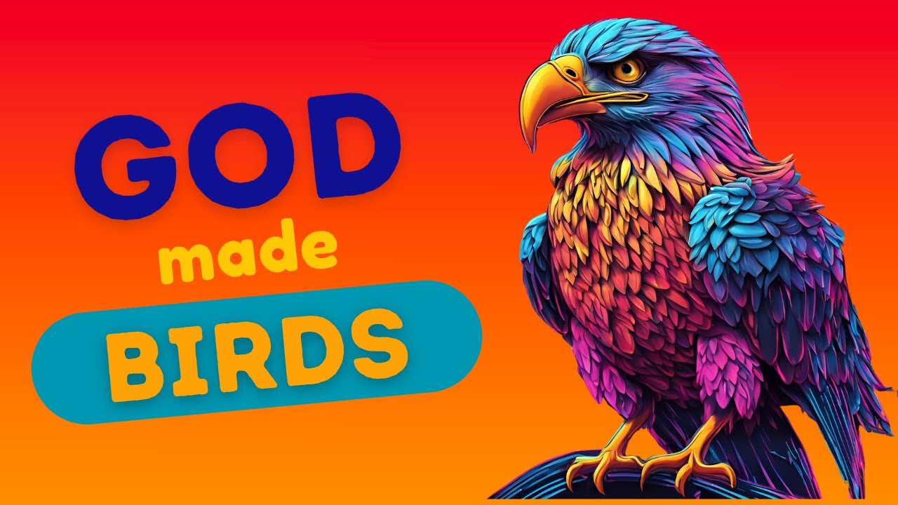 God Made Birds: An Educational Adventure - YouTube