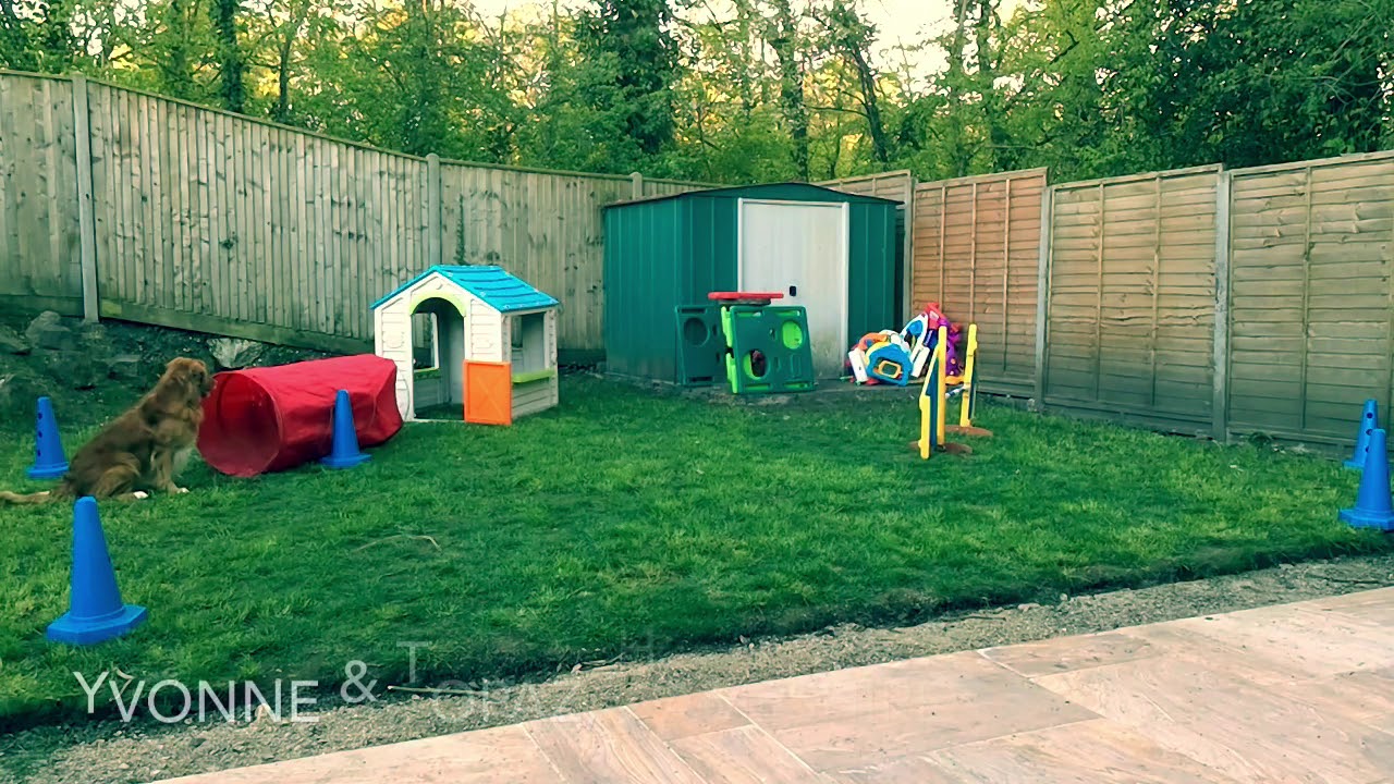 Tollers of Great Britain Toilet Roll Relay 2020 - YouTube