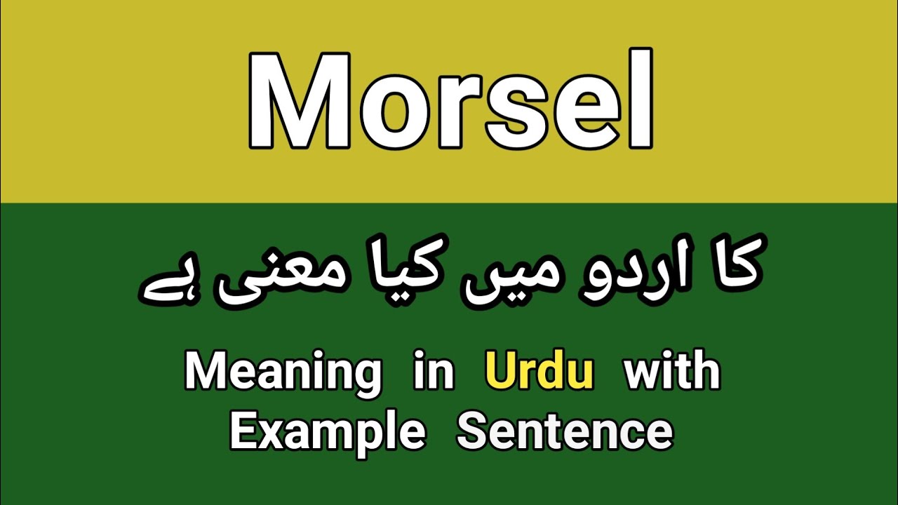 Morsel meaning in Urdu/hindi || Morsel in a sentence || Morsel ka ...