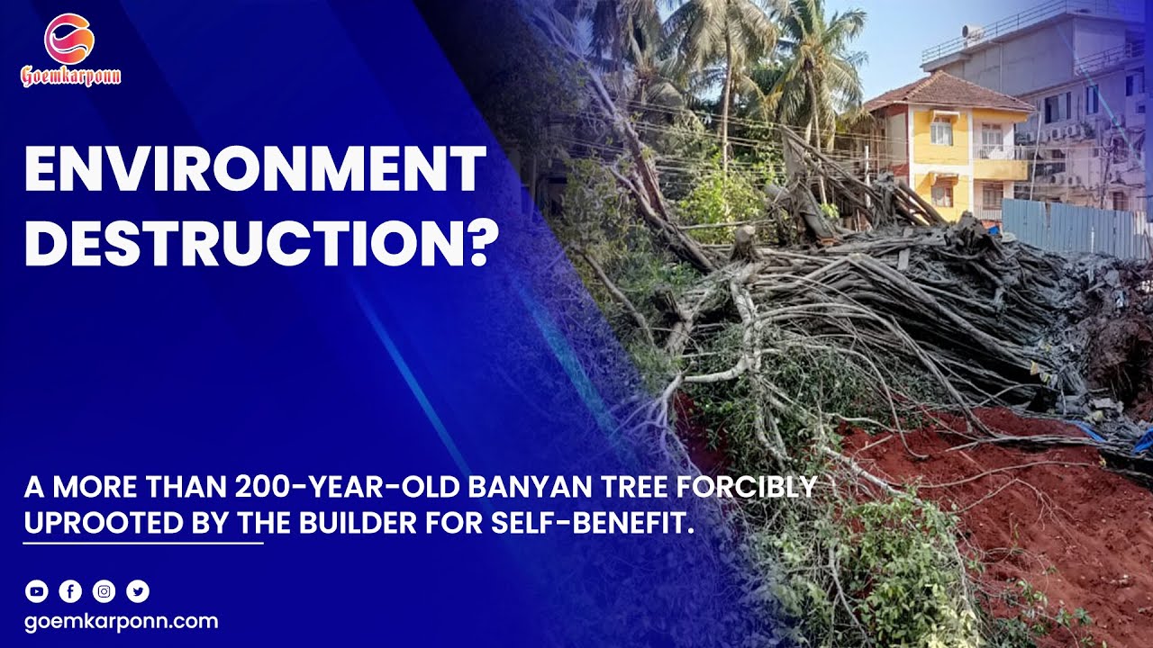 ENVIRONMENT DESTRUCTION? - YouTube