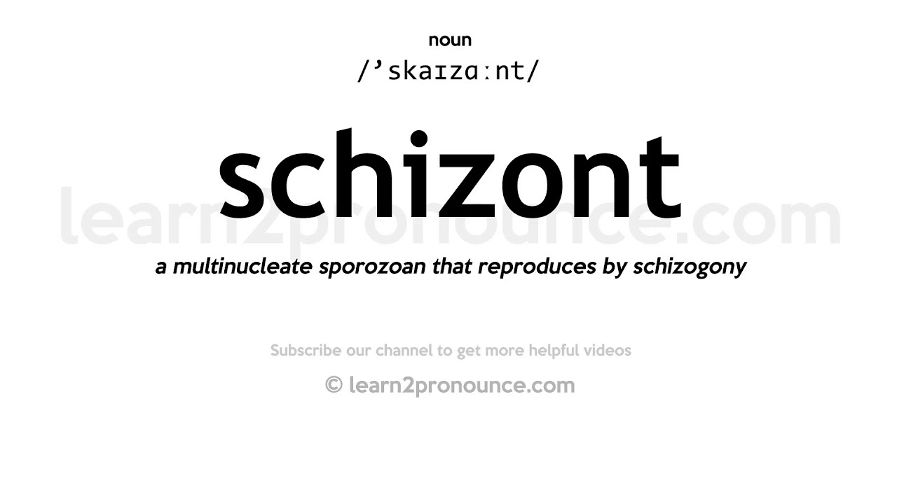 Pronunciation of Schizont | Definition of Schizont - YouTube