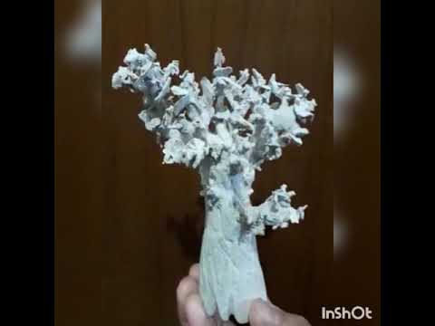 Cement tree.....watch next video to know how to make this cement tree ...