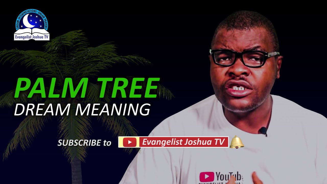Palm Tree Dream Meaning Biblical And Symbolism YouTube palm-tree-dream-meaning-biblical-and-symbolism-youtube
