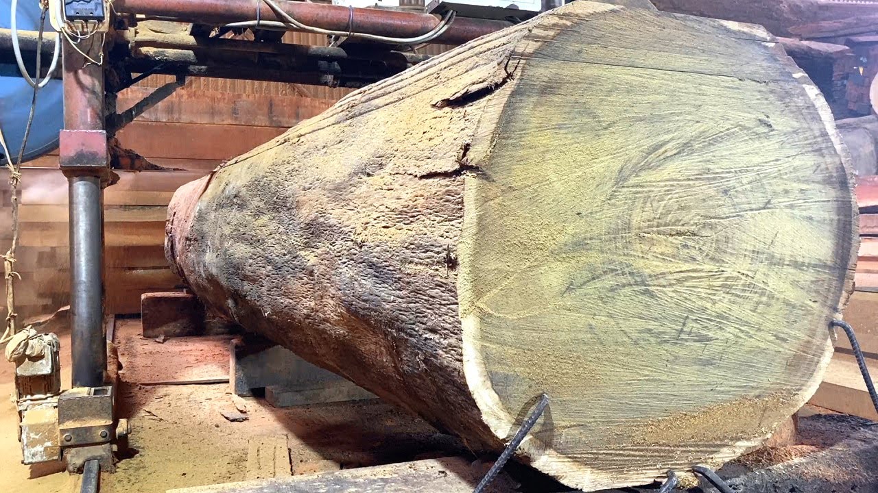 Raw Wood Processing Workshop - Extremely Beautiful Plank Saw From ...