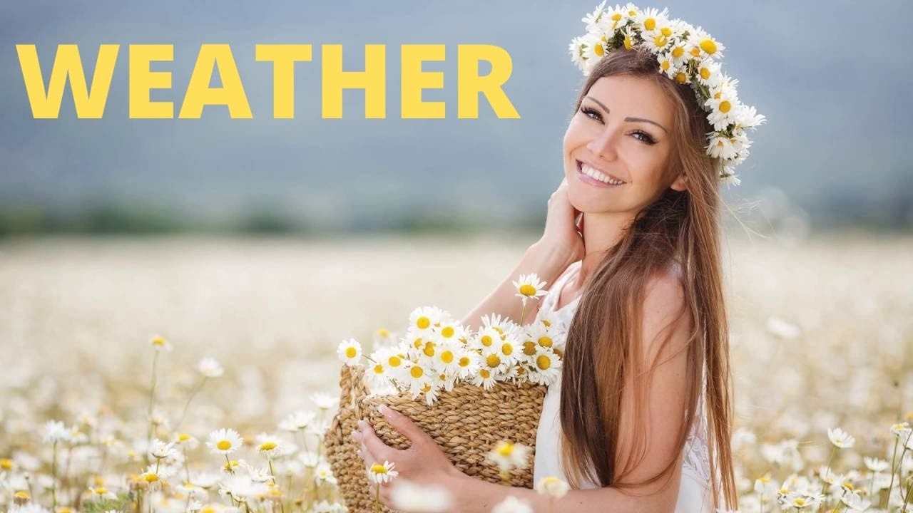 Weather, rain, sunny, cloudy, hail, rainstorm, sleet, snowy, snowstorm ...