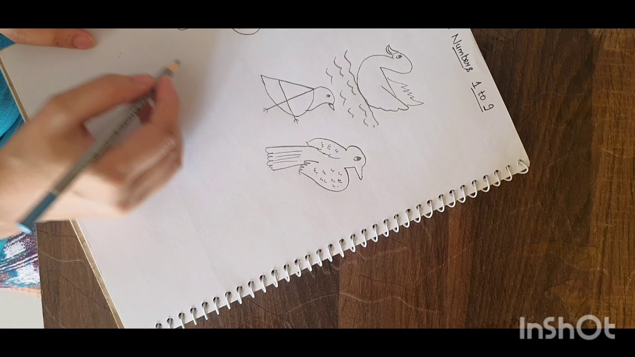 Birds drawing from numbers - YouTube