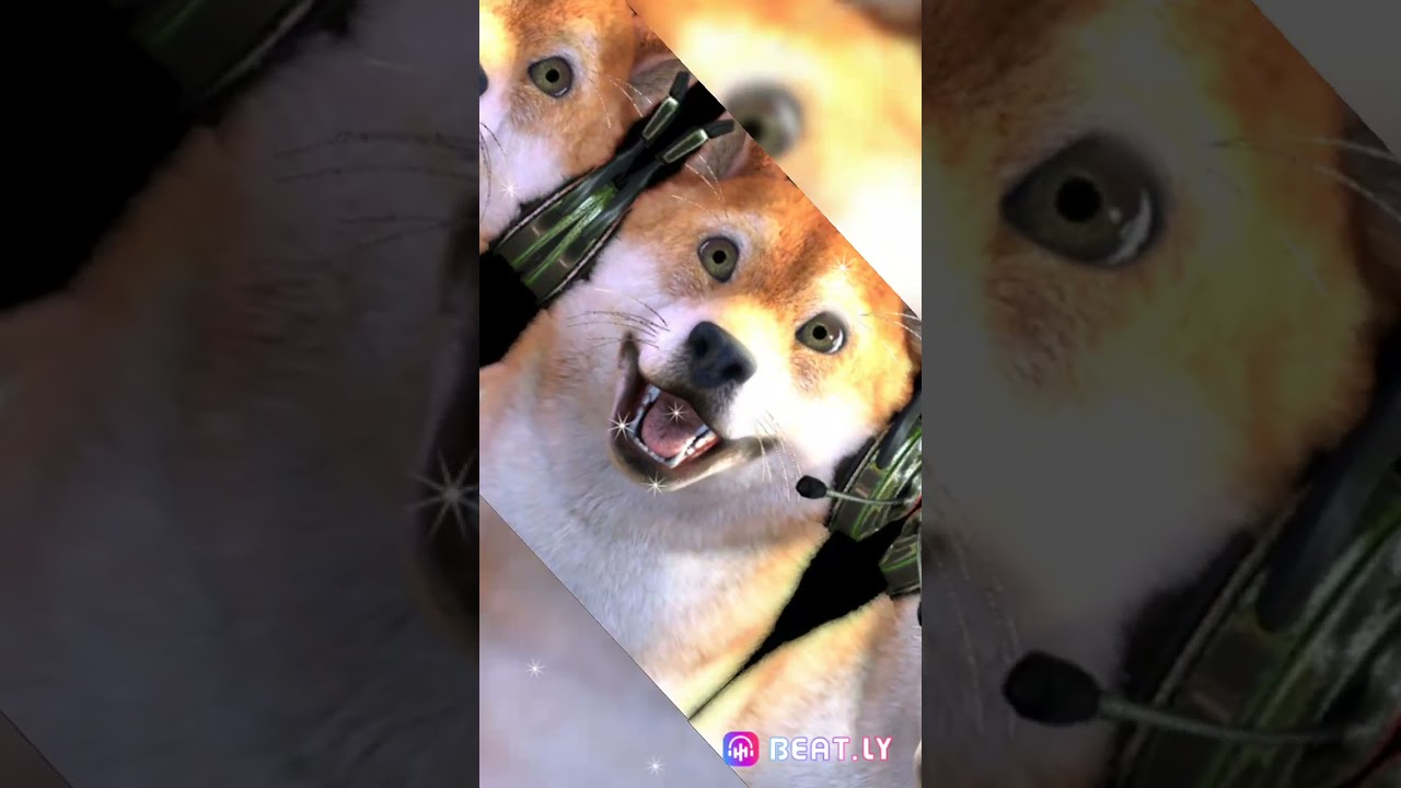 obit SI anjing - YouTube