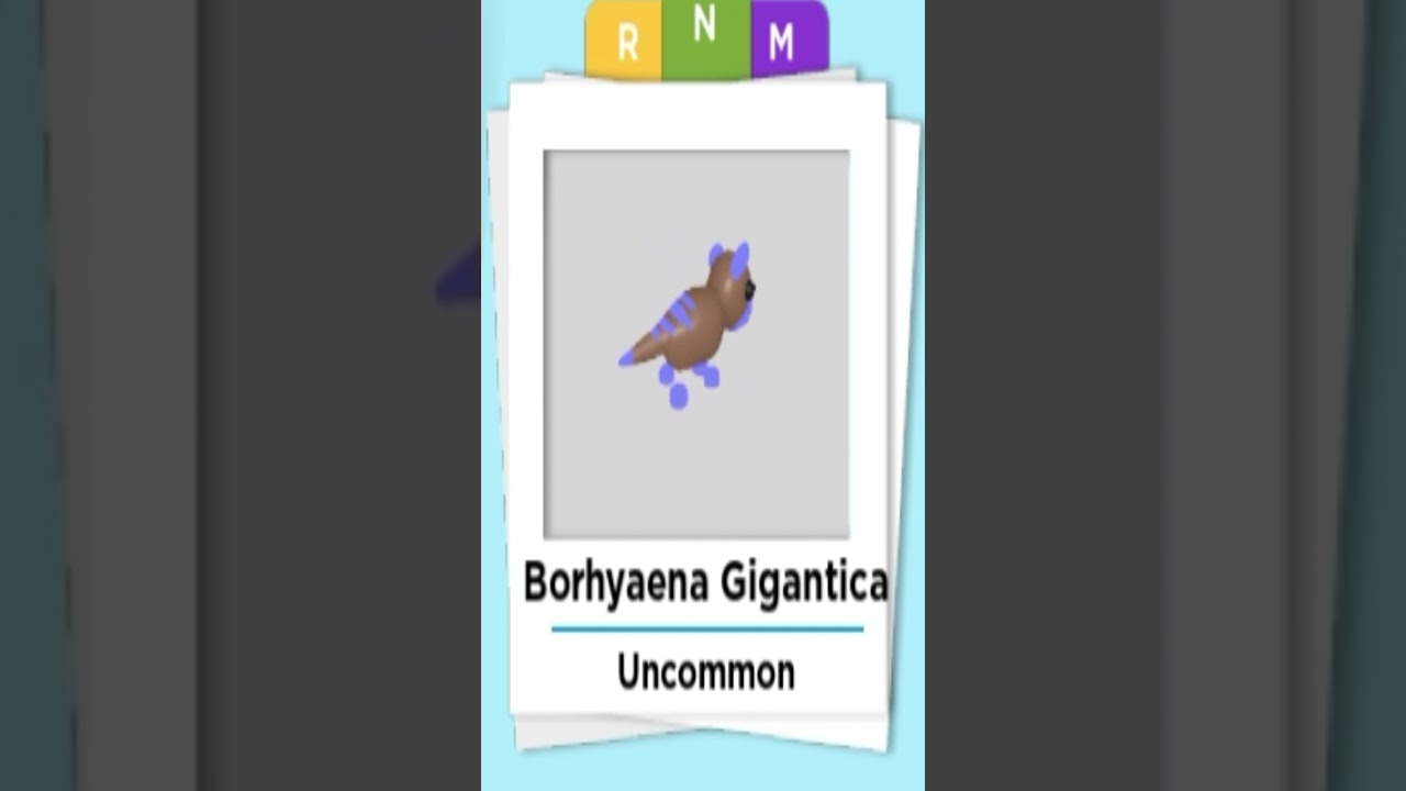 Borhyaena