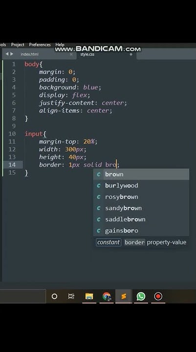 Invalid Input Shake Using Html Css Ali Shair Htmlcss Frontend 8965