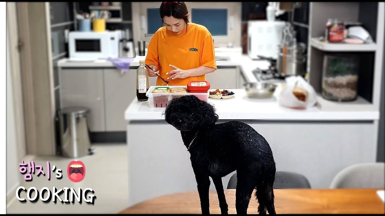 HAMZY’s Cooking🔪 COMPILATIONS PART 6 ★ Korean foods & Other foodsㅣ요리모음ㅣ ...