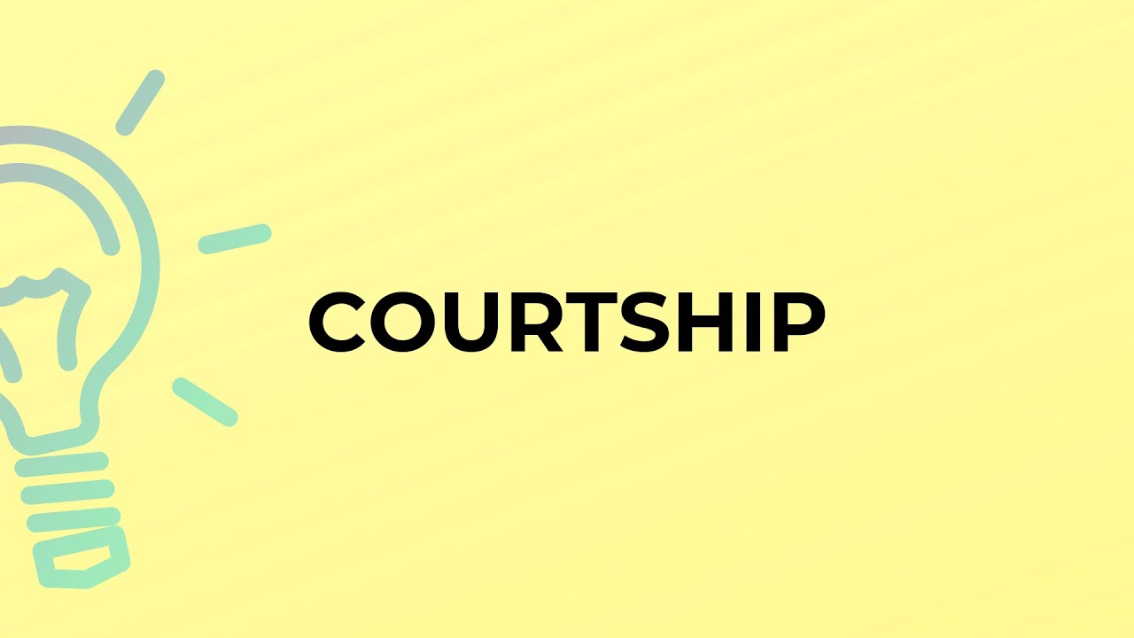 What is the meaning of the word COURTSHIP? - YouTube