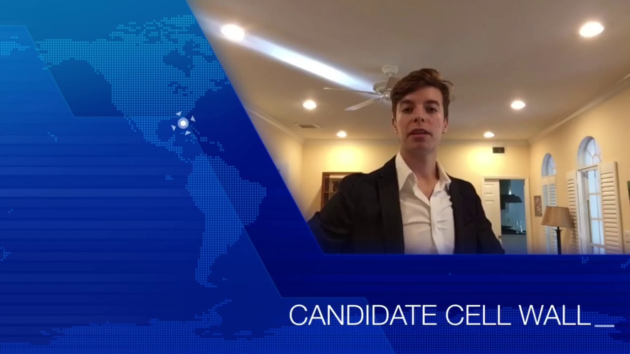 THE CELL WALL CAMPAIGN. Frick yes. - YouTube