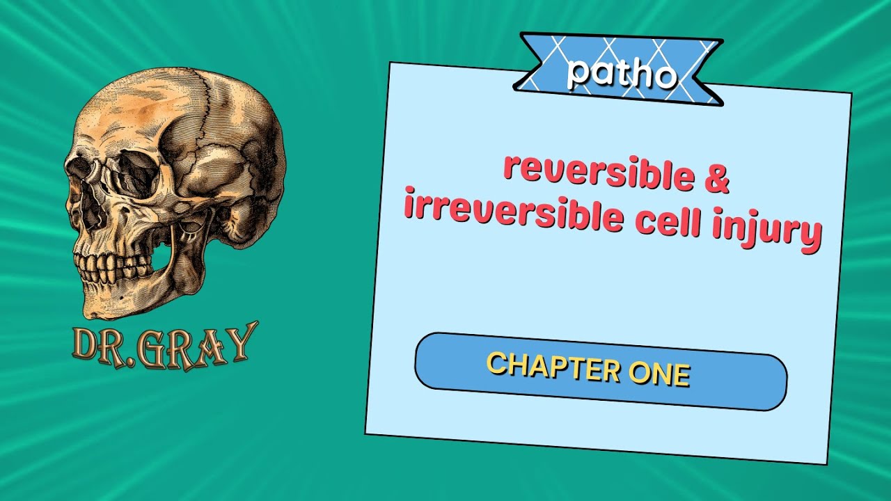 reversible and irreversible cell injury - YouTube