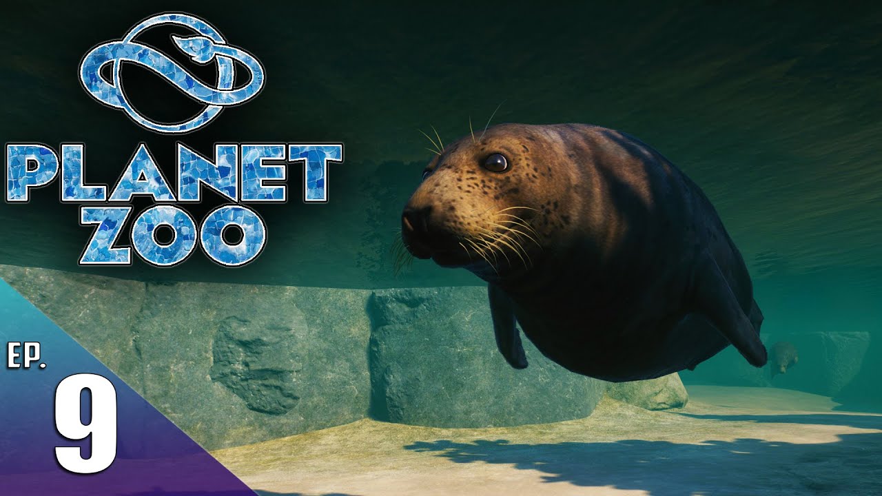 Life Aquatic Pt. 2 | | Riverside Zoo Ep. 9 | PLANET ZOO - YouTube