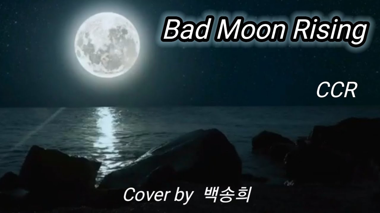 Bad Moon Rising - C C R /Cover by 백송희 - YouTube