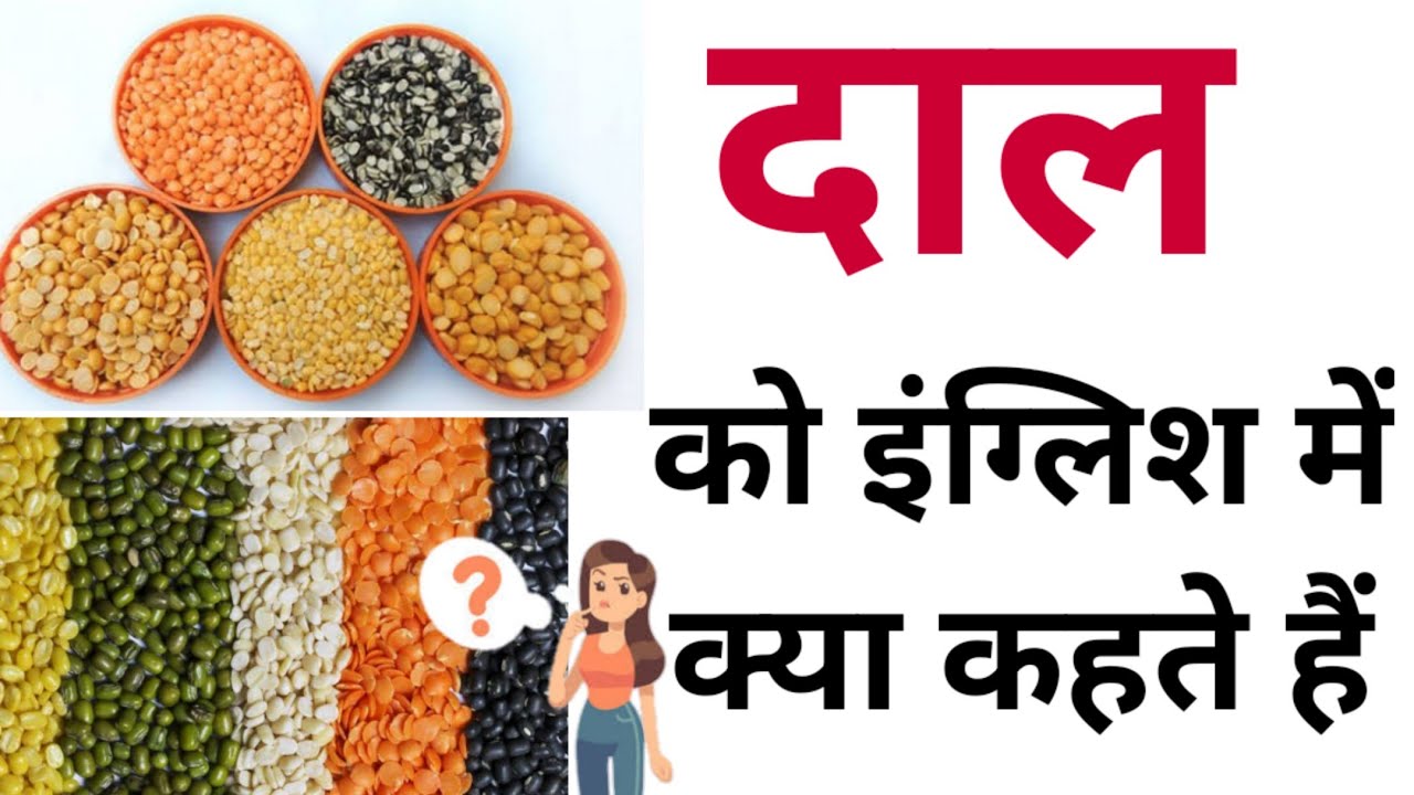 दाल को इंग्लिश में क्या कहते हैं | Daal ko English mein kya kahate Hain ...