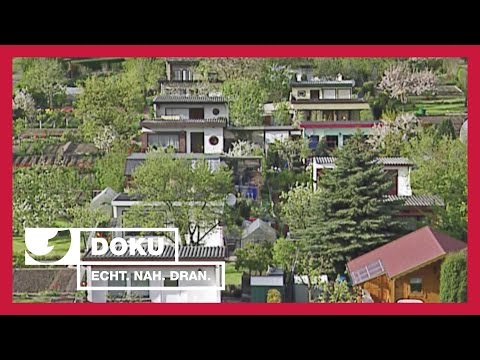 Ordnung muss sein - in der Kleingartenkolonie | Experience - Die Reportage | kabel eins Doku