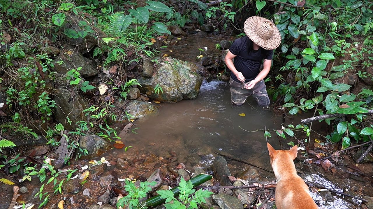 Lots of Wild Food In The Stream, Catch and Cook: Survival Alone | EP ...