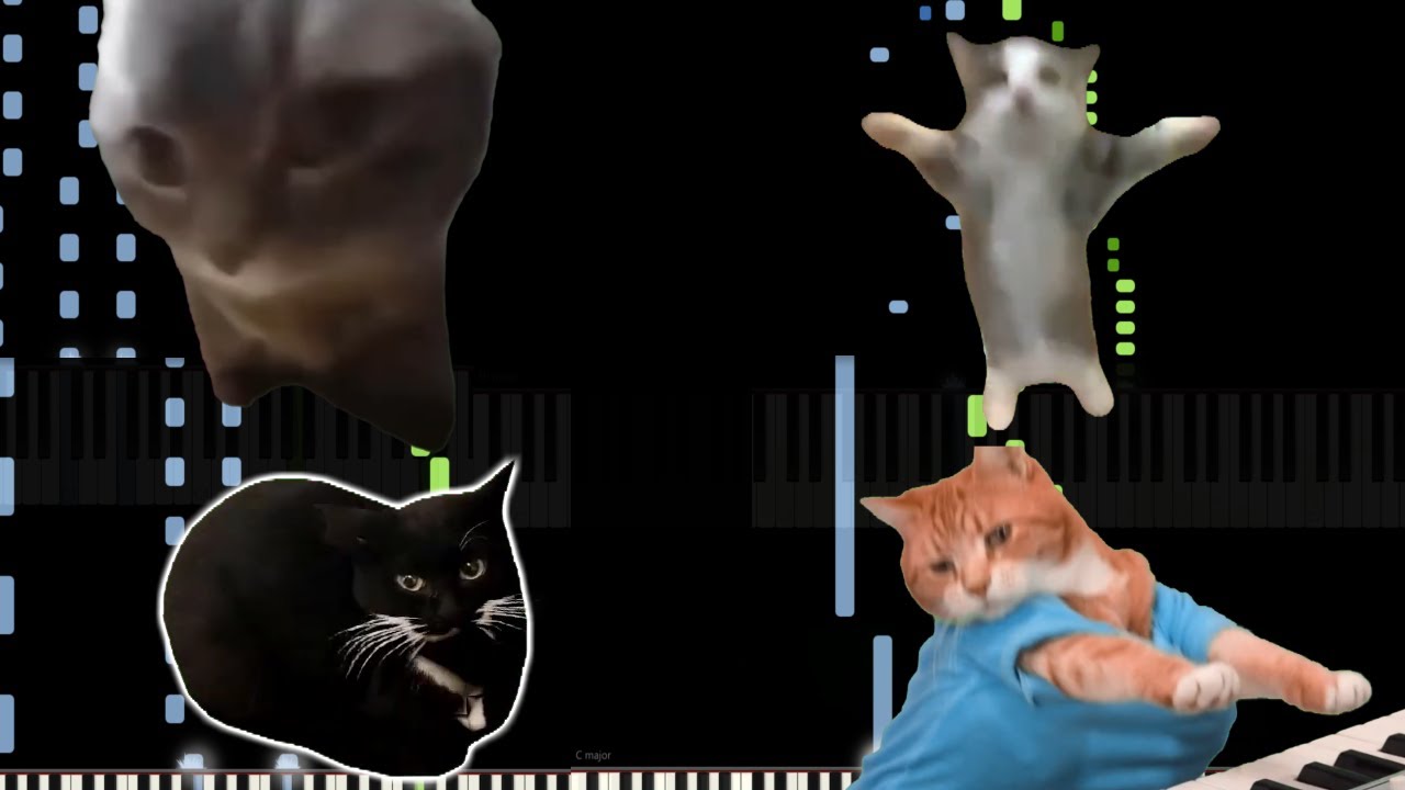 Cat Meme Song Four Heavenly Kings [Piano Solo] - YouTube