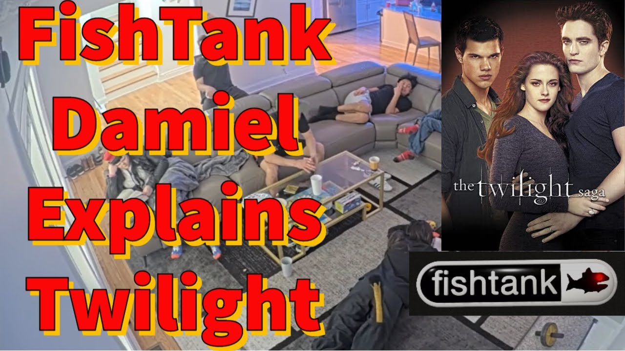 FishTank Damiel Explains Twilight - YouTube