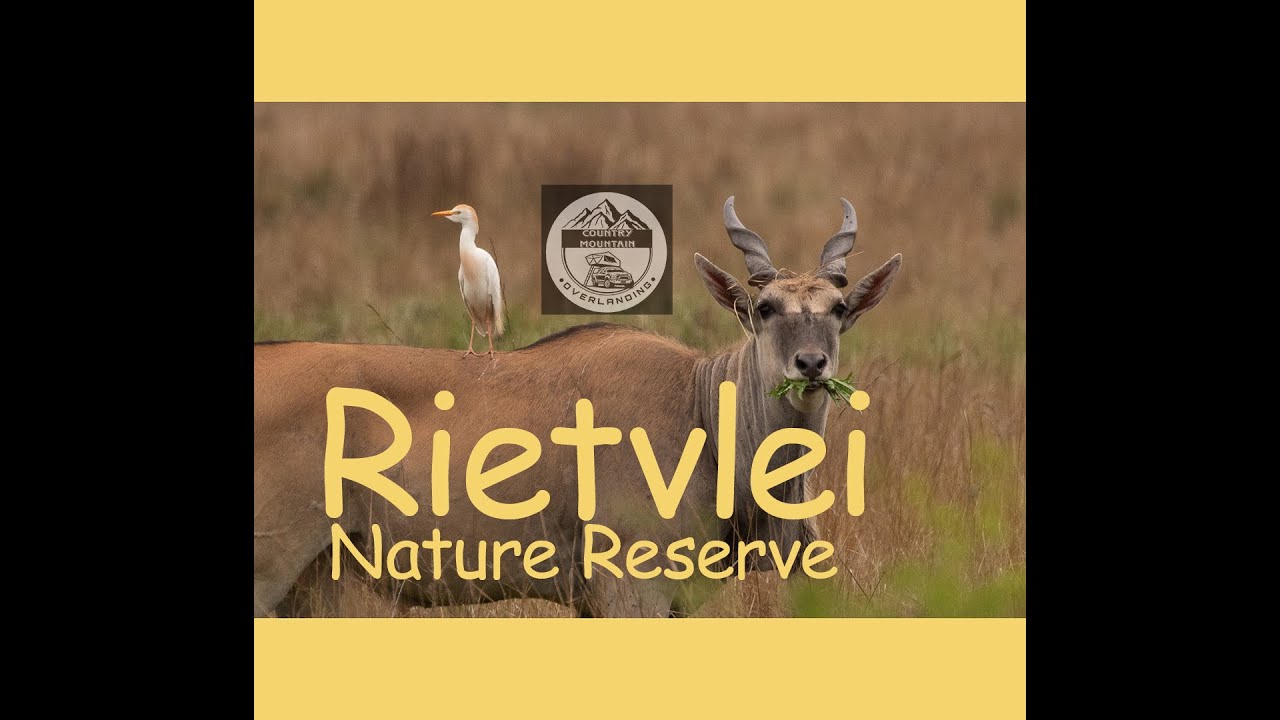 Rietvlei Nature Reserve - A Daytrip adventure - YouTube