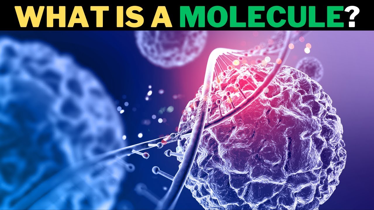 What Is A Molecule molecule nanocar biomolecules what-is-a-molecule-molecule-nanocar-biomolecules