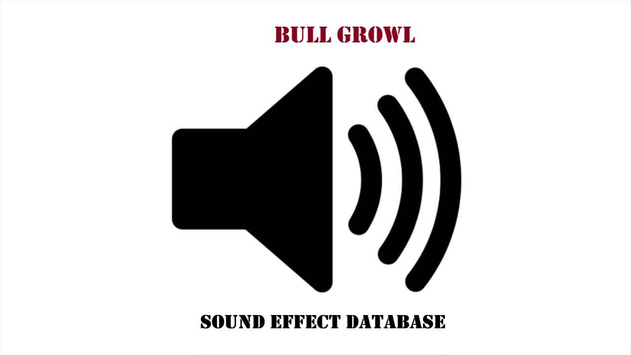 Bull Growl Sound Effect - YouTube