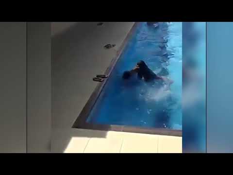 Vídeo cassetadas na piscina pt1