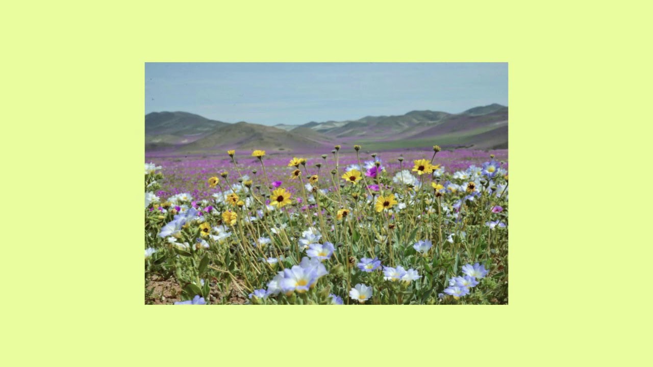 Fool - Cavetown (ukulele cover) - YouTube