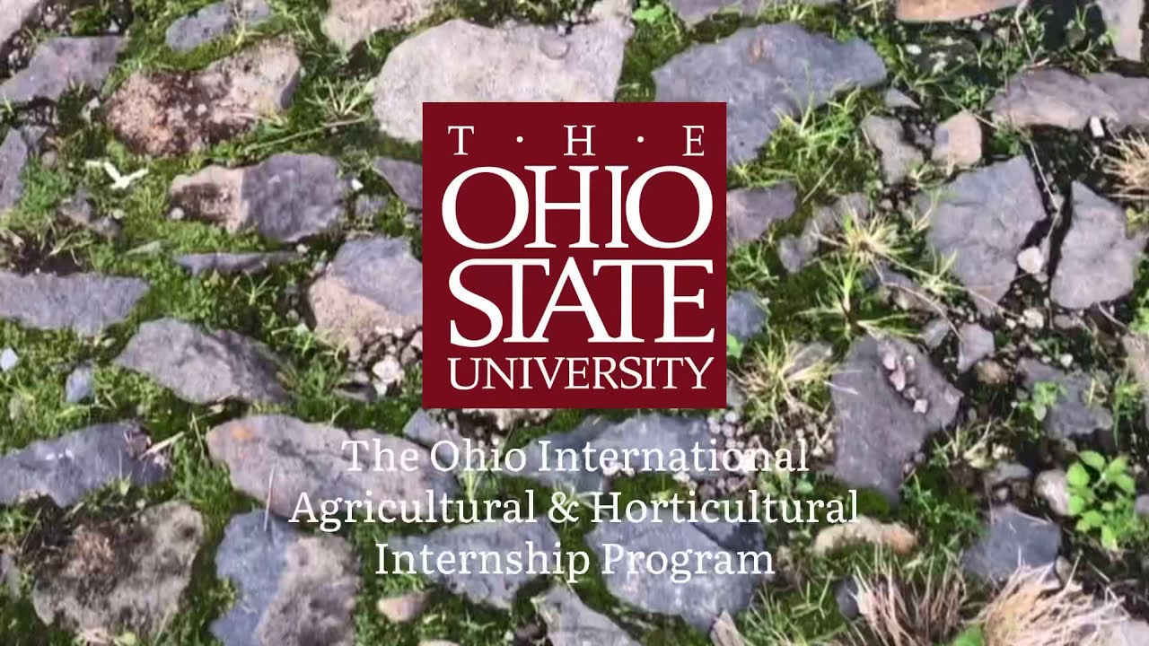 The Ohio Program 2021 - Bunga Aprini Iskandar - YouTube