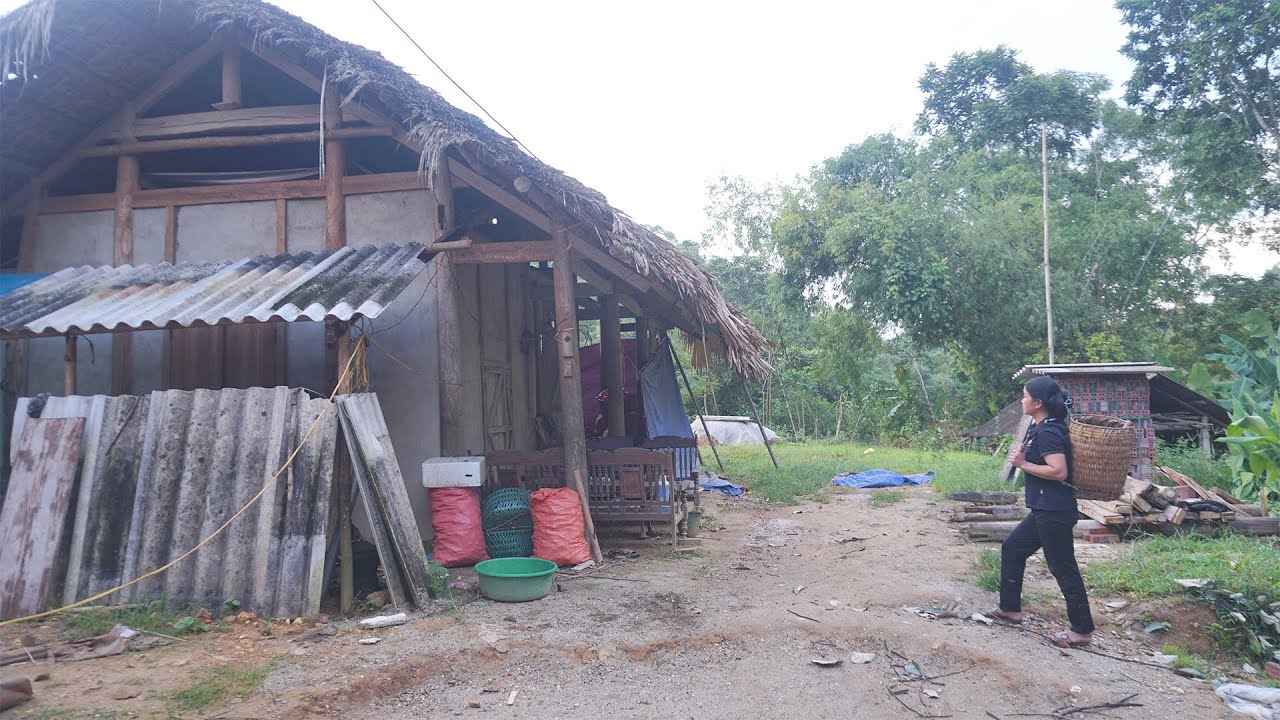 Clean up Rented House, Can a Poor Girl REALLY Build a Thriving Farm ...
