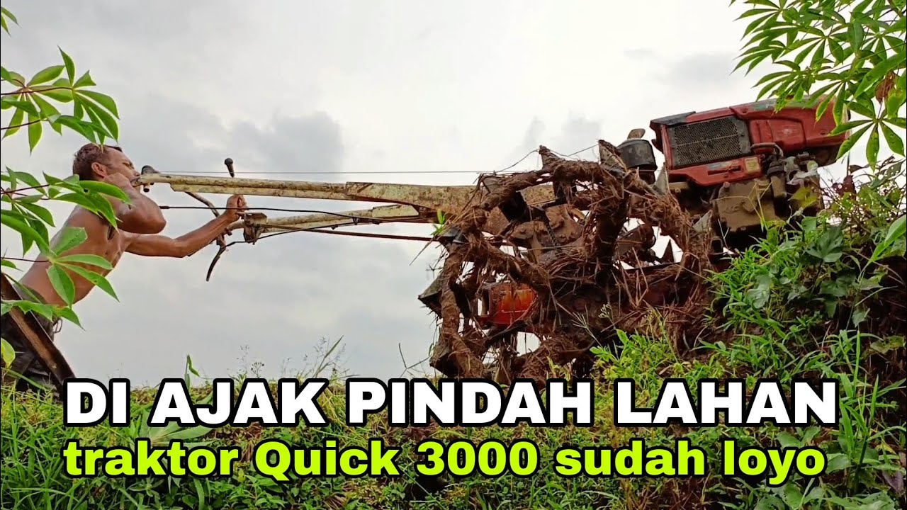 Proses singkal lahan persawahan tahap pertama traktor QUICK 3000 sudah ...